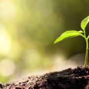 Homepage - Vestolit.com