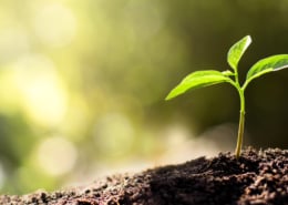 Homepage - Vestolit.com