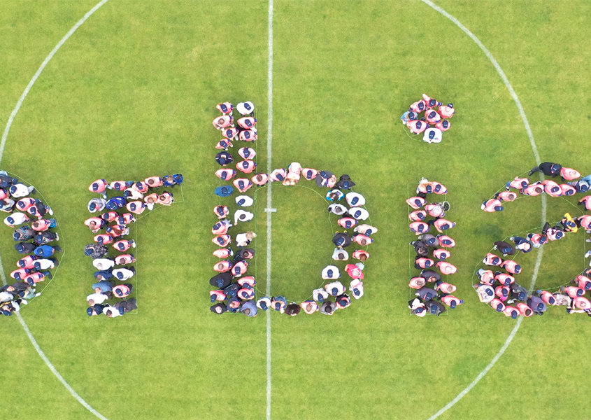 Homepage DE - Vestolit.com